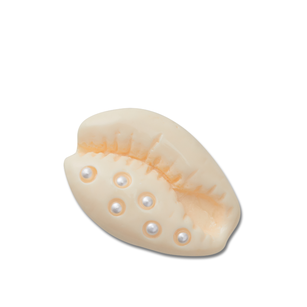 Jibbitz™ Charm Pearl Puka Shell – Crocs™ Việt Nam